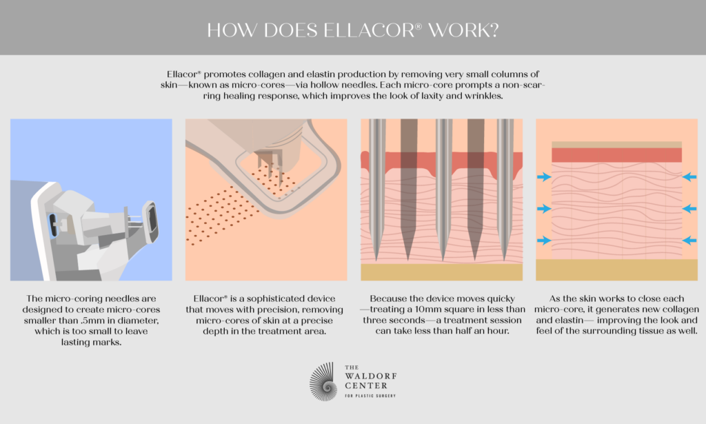 ellacor | Portland, OR | The Waldorf Center